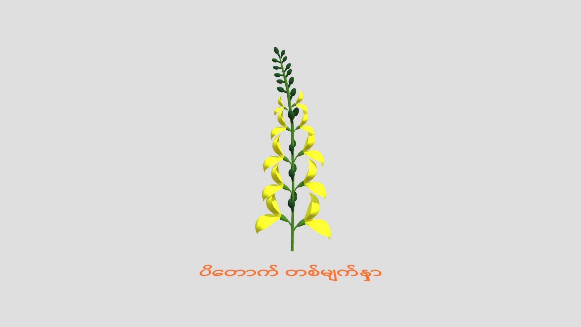Padauk Flower (Myanmar Thingyan) - Download Free 3D model by Ayar ...