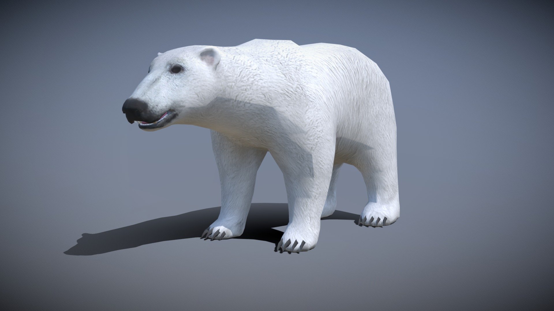 Wild animals - Polar bear - 3D model by 3DRT.com [c7abd27] - Sketchfab