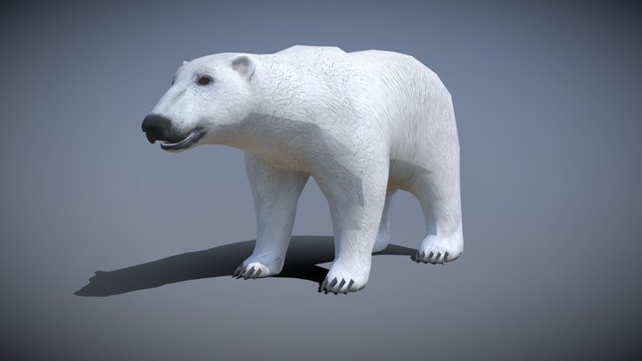Ice-bear 3D models - Sketchfab