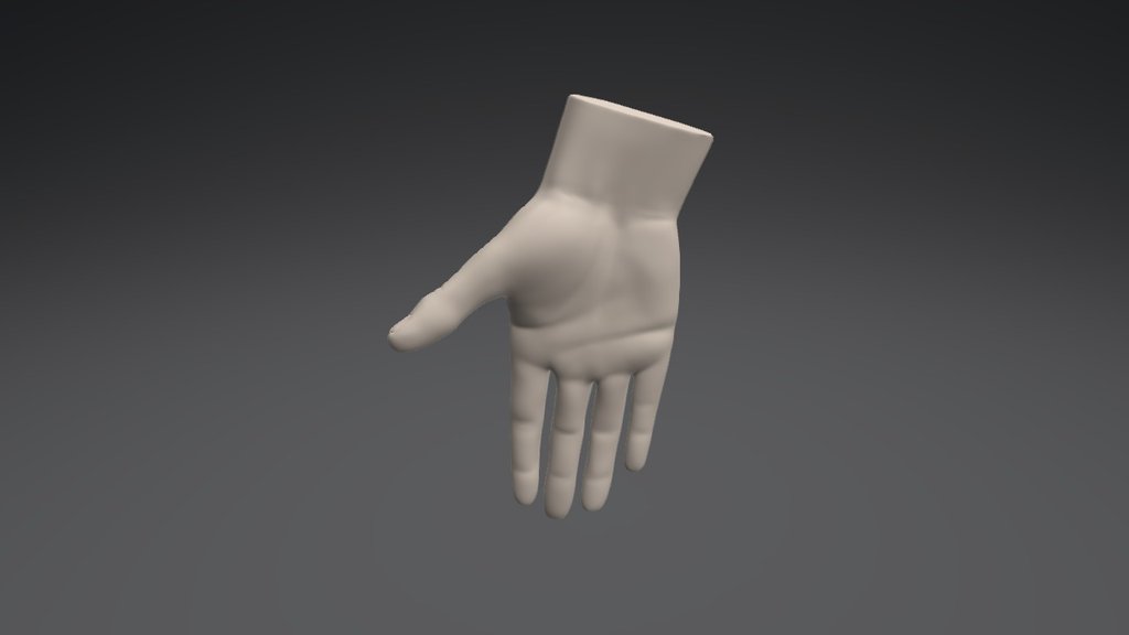 Hand Test - 3D model by andrew2xu [c7b068c] - Sketchfab