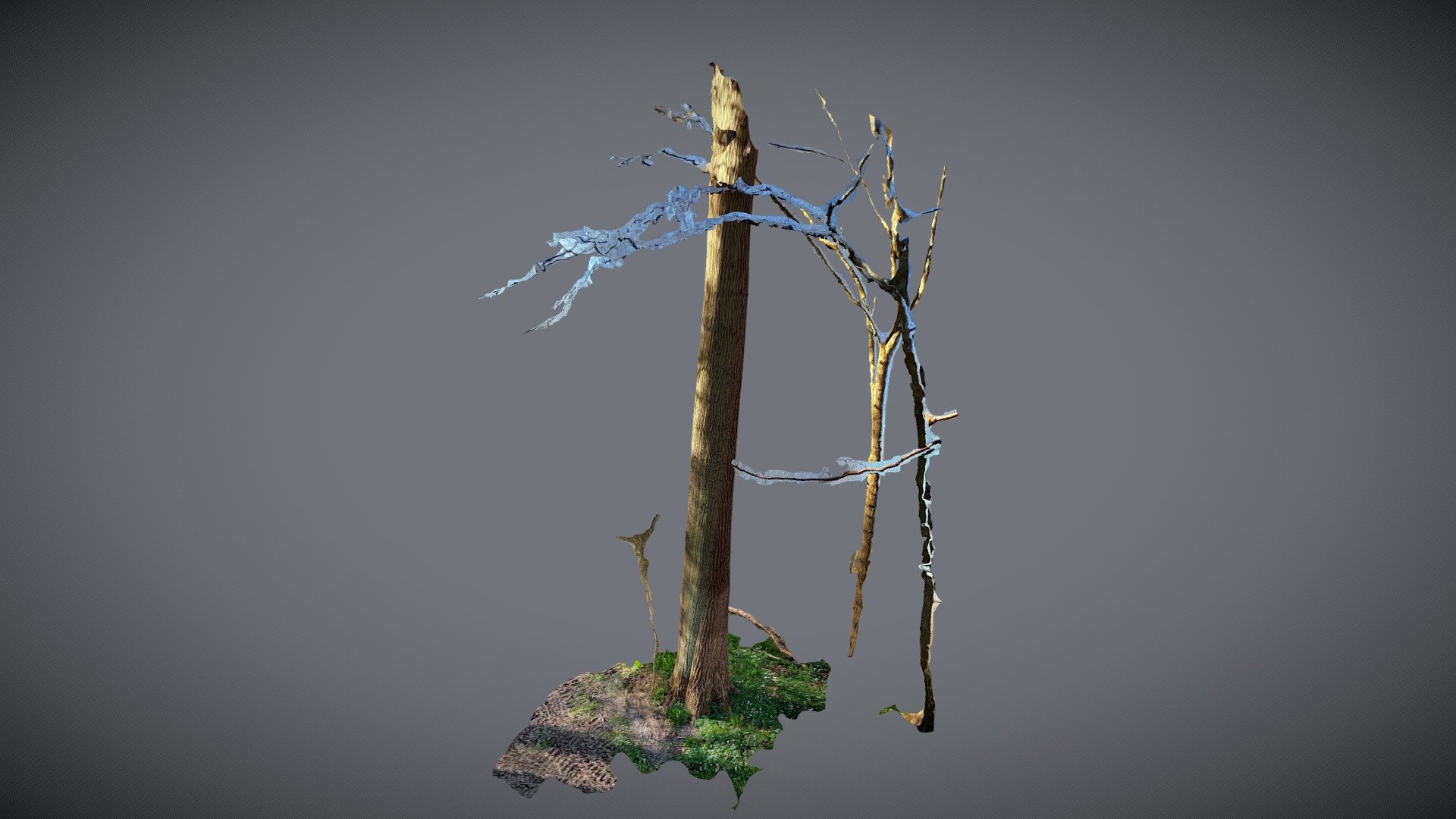 Oak log on root. - 3D model by dralle.as [c7bbc7a] - Sketchfab