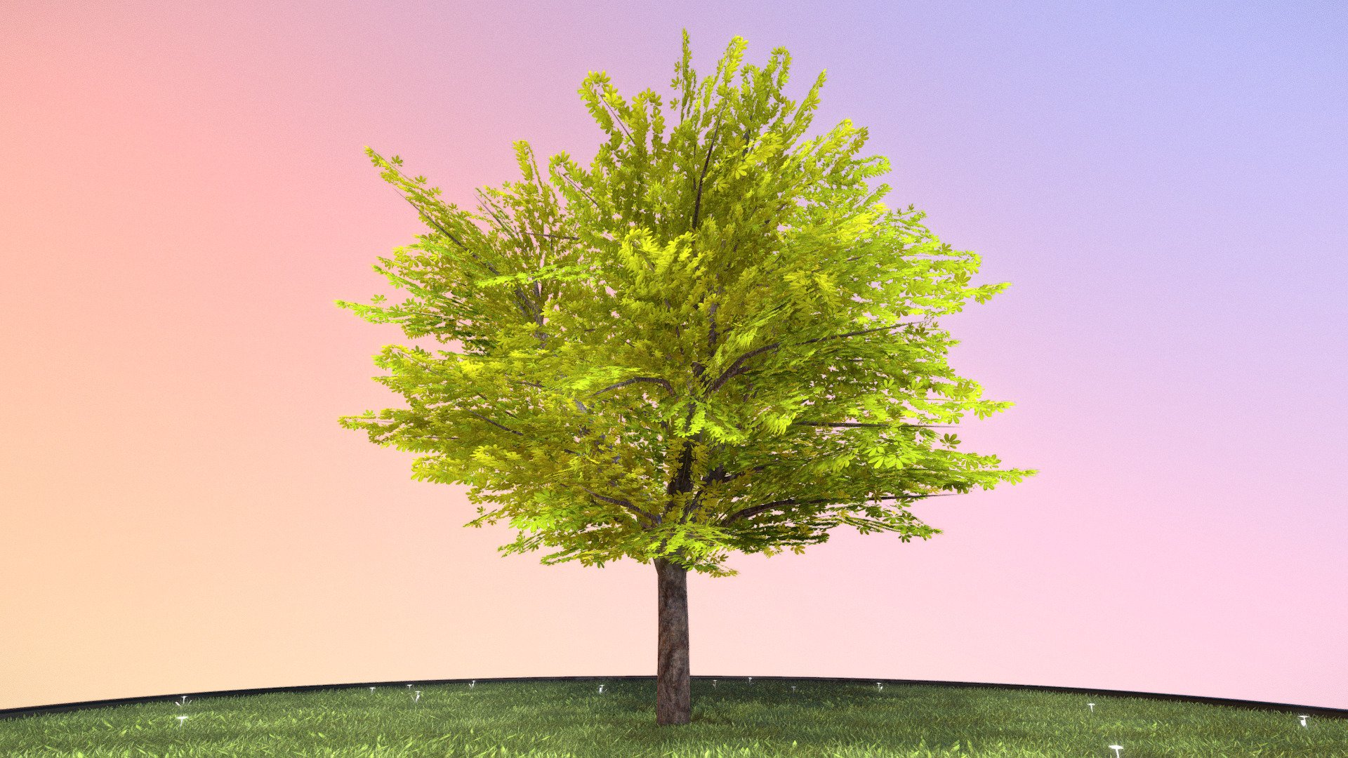 Kastanie 12 Meter - Sommer - Buy Royalty Free 3D model by VIS-All-3D ...