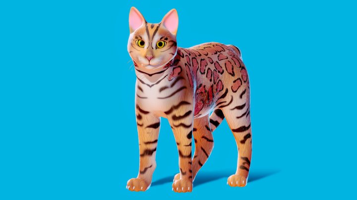 Cats 3D models - Sketchfab