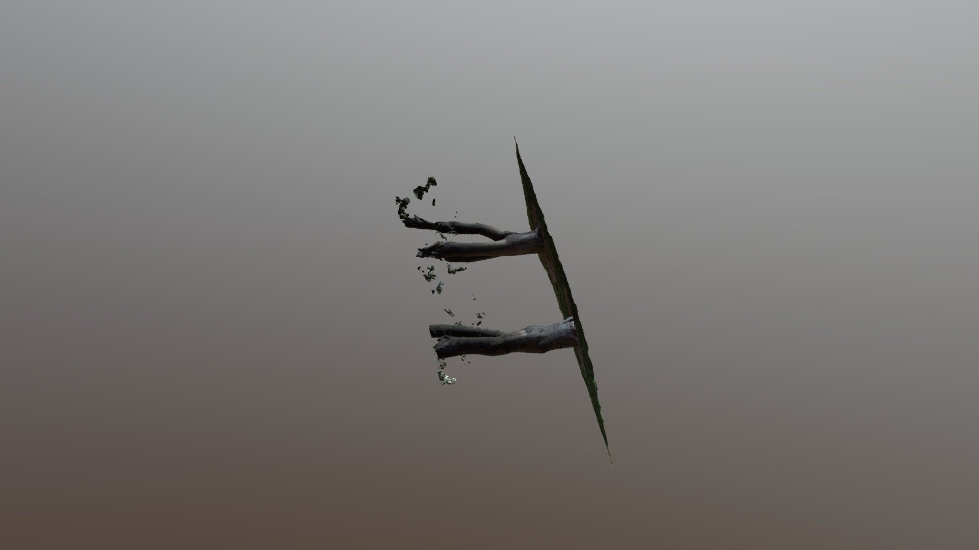 Two Trees High - 3D model by randy9randy [c7ce889] - Sketchfab