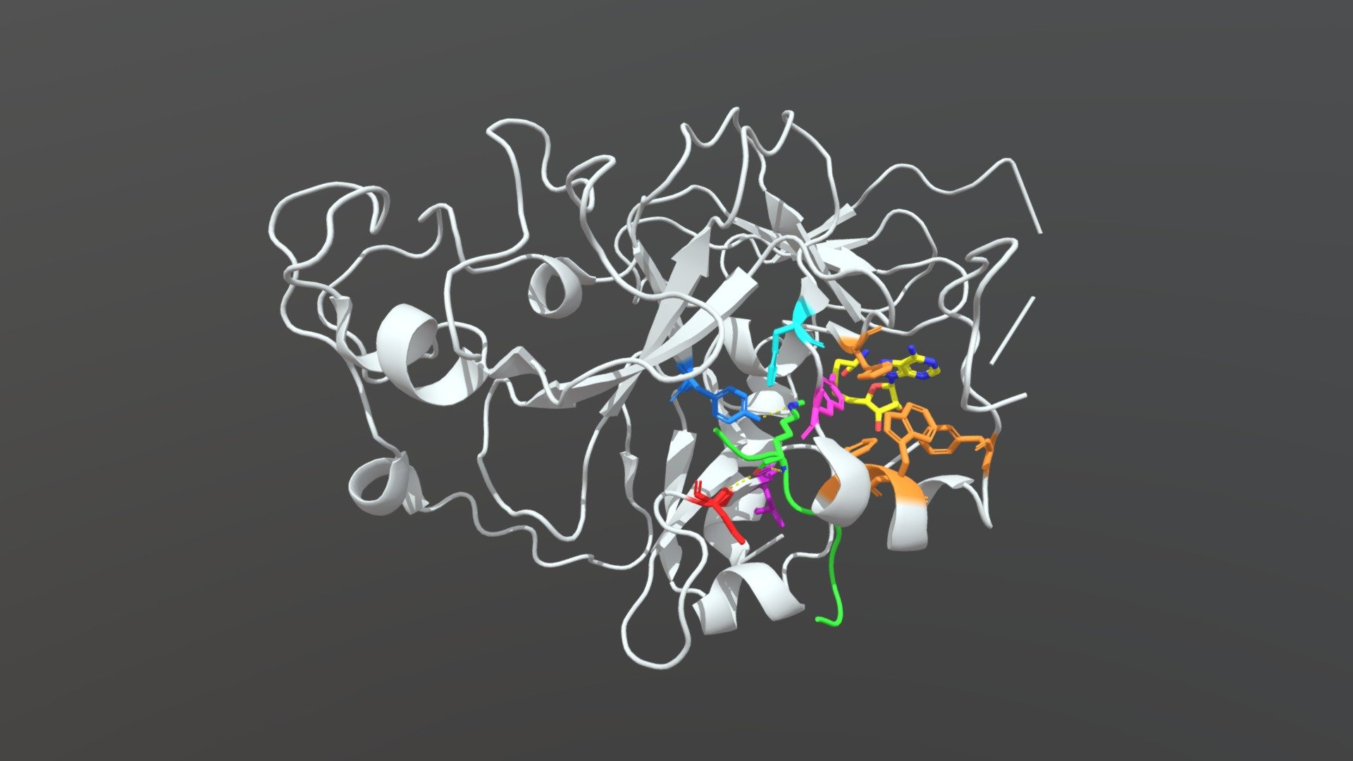 Human Euchromatic Histone Methyltransferase 1 - 3D model by EH (@EH6 ...
