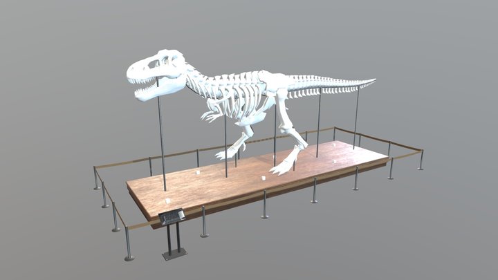 Fossil 3D models - Sketchfab