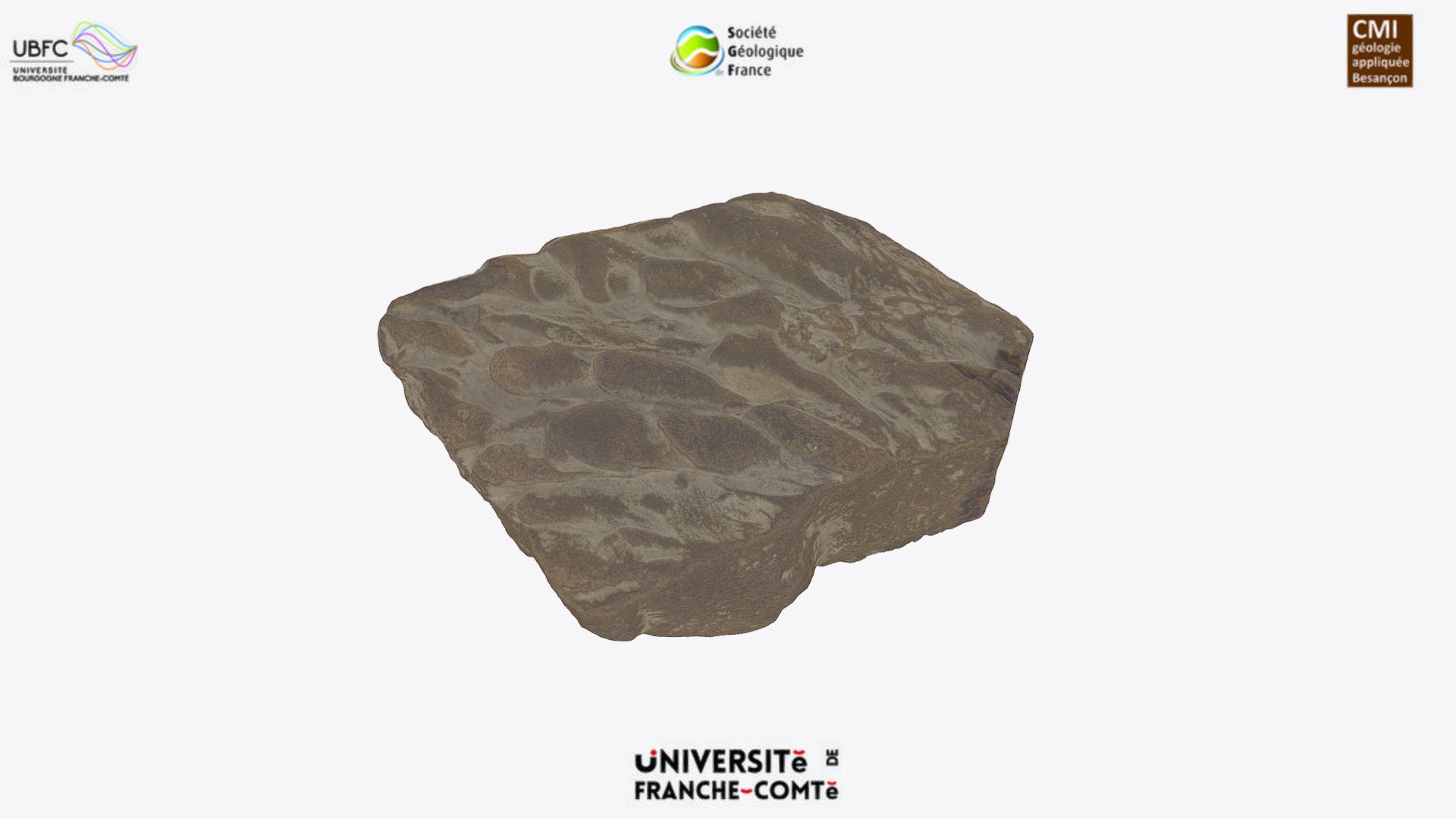 Flute casts - Download Free 3D model by Société Géologique de France ...