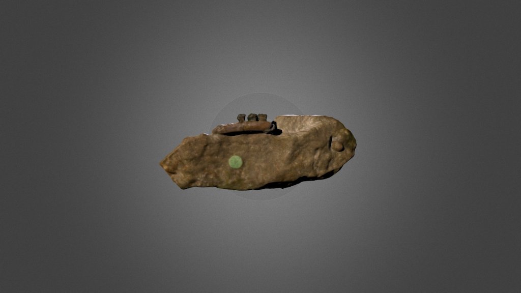 Stereognathus ooliticus (GSM 113834) - 3D model by VirtualNHM [c7edd61 ...