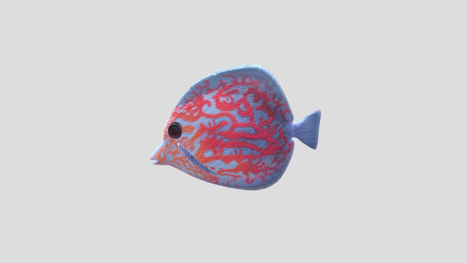 Fish Texture - 3D model by kayahass [c7f213d] - Sketchfab