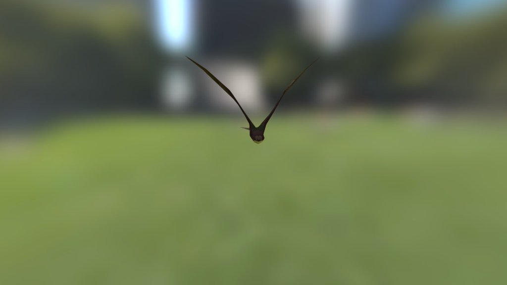 Animated Swift - 3D model by ConnorHandley [c7fbda3] - Sketchfab