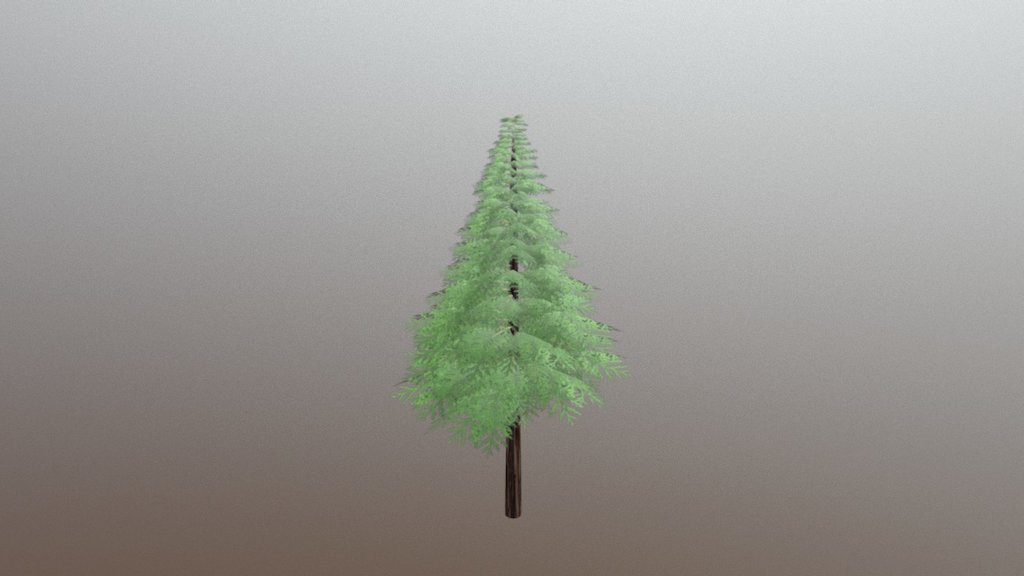 Fir Tree - Download Free 3D model by Aston Cook (@Aston_Cook) [c803f1e ...