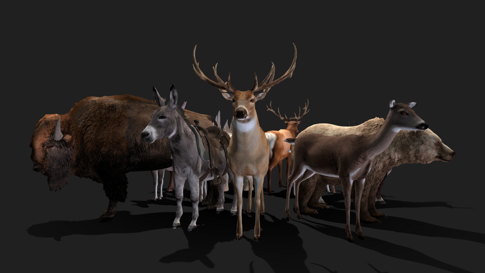 Realistic Animals FULL PACK - 3D model by WildMesh 3D (@WildMesh_3D) [c80459f] - Sketchfab