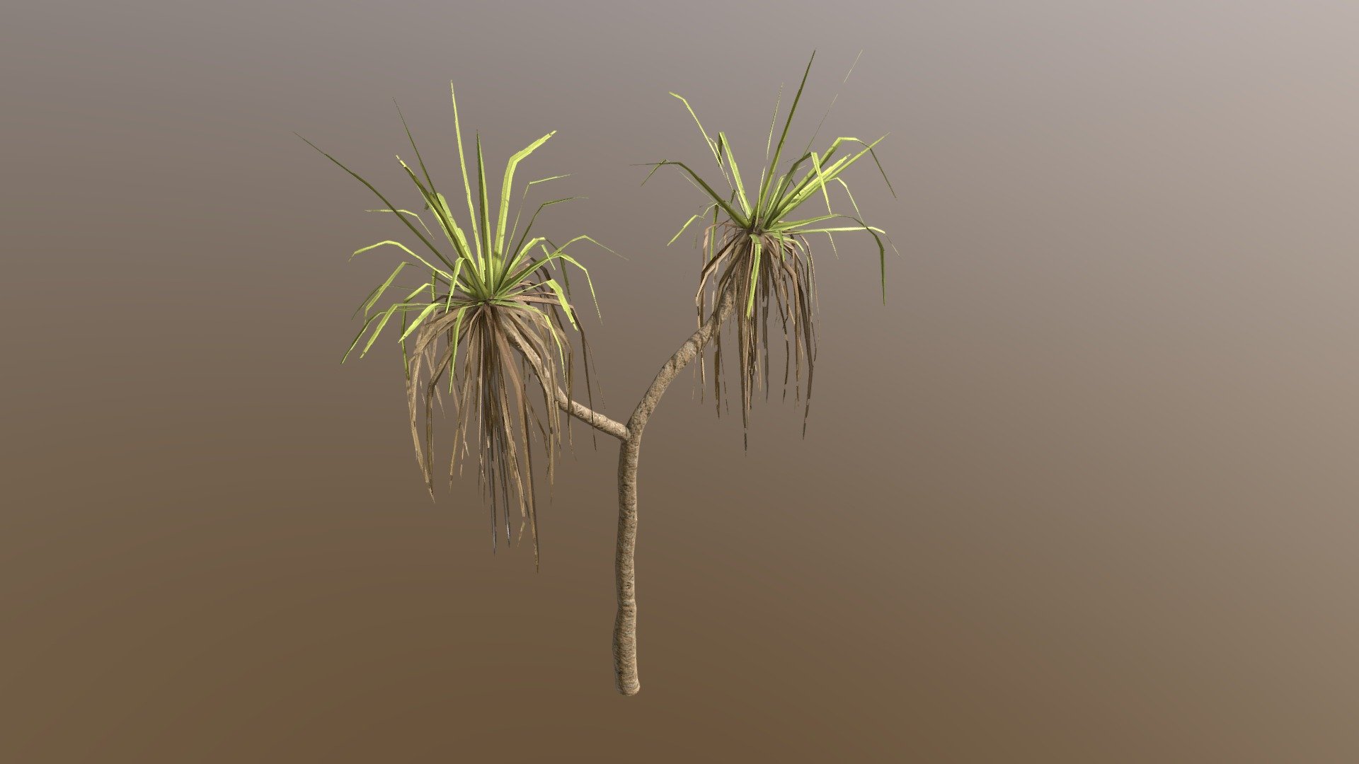 pandanus_blockout_V2_0_NEW TEXTURES - 3D model by Luke Power ...