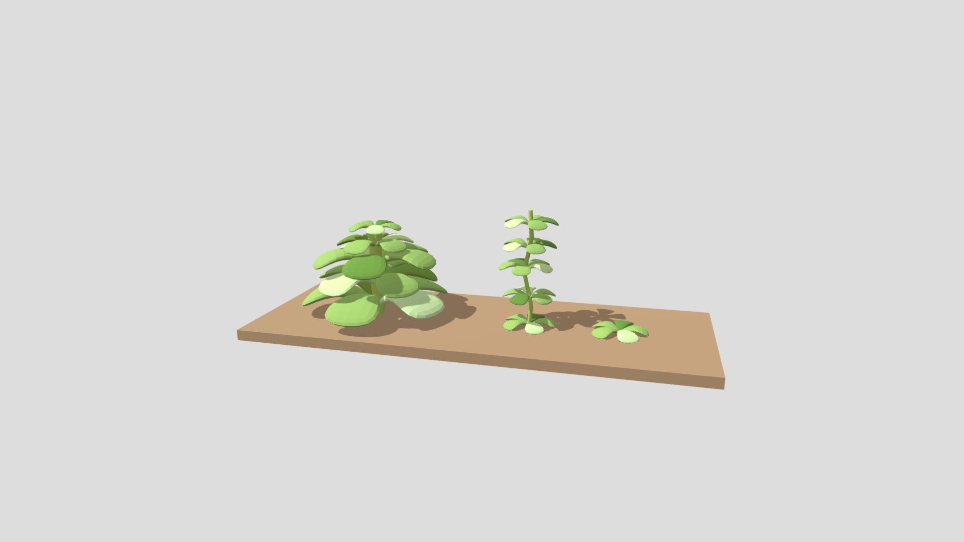 Foliage - Download Free 3D model by Meilleure [c80fd9e] - Sketchfab