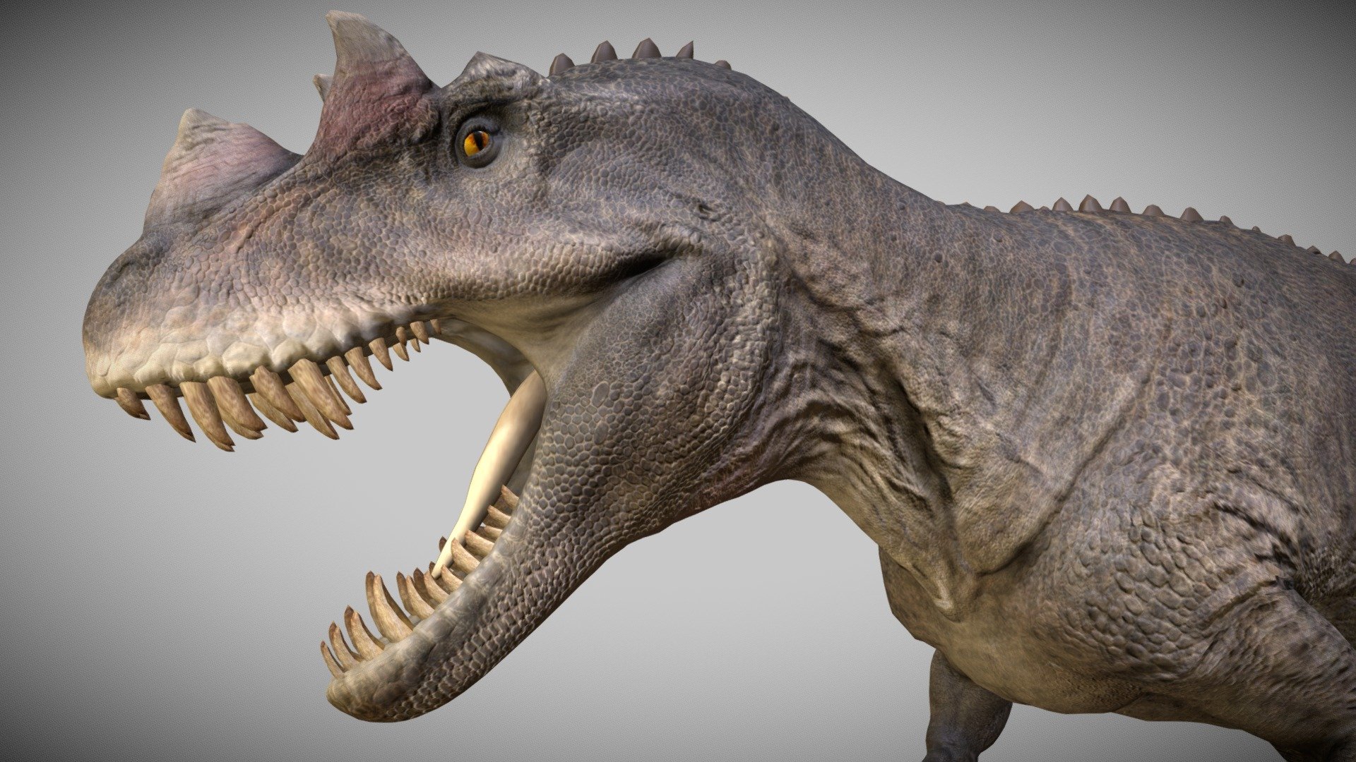 Ceratosaurus - Buy Royalty Free 3D model by robertfabiani [c814b9e ...