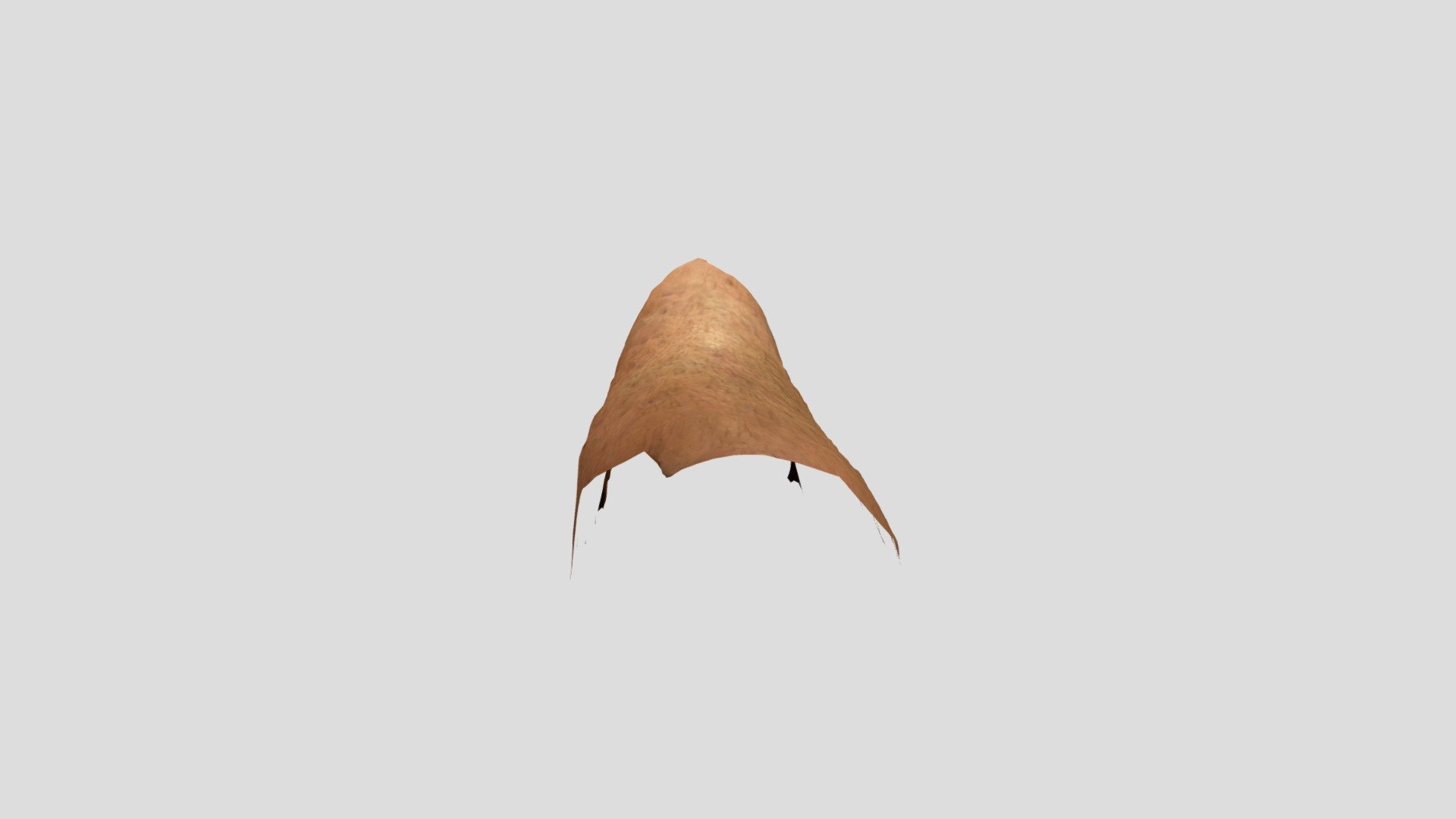 Shin Scan - Download Free 3D model by SwarlsBarkley3 [c8178f8] - Sketchfab