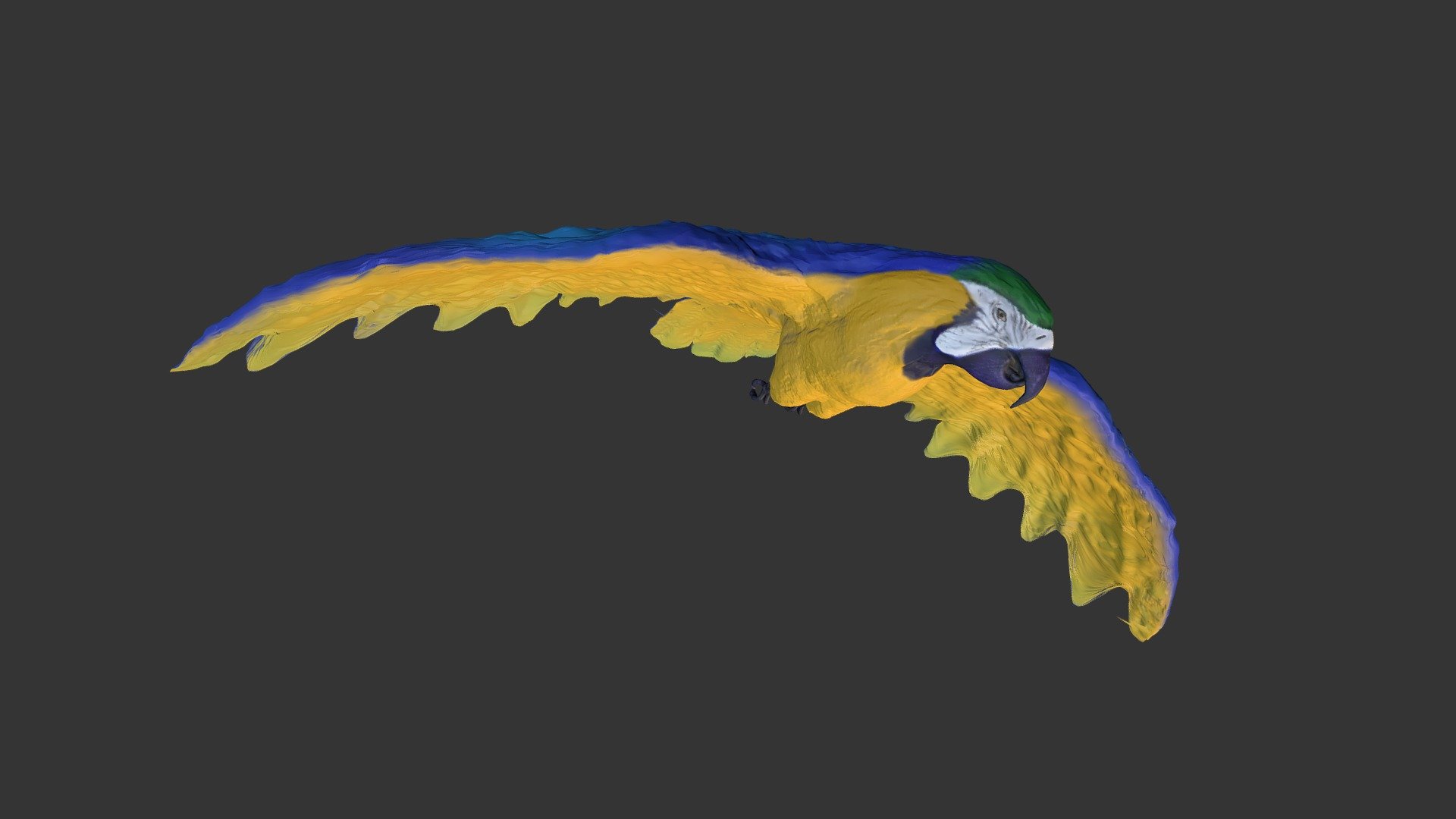 Asset Parrot - Download Free 3D model by arnaud_hanssens [c824b19 ...