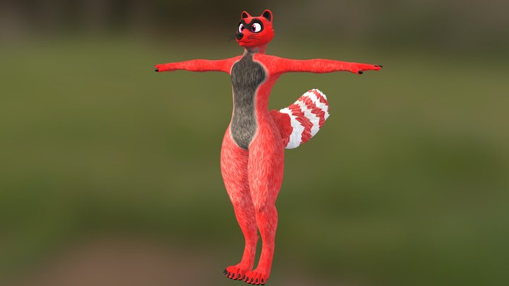 Raccoon 3D models - Sketchfab
