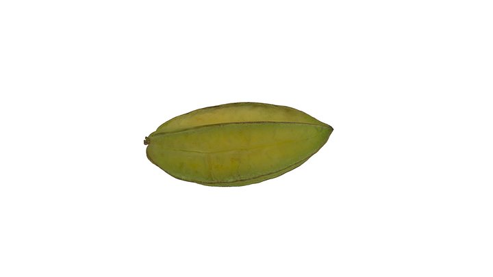 Starfruit 3D models - Sketchfab