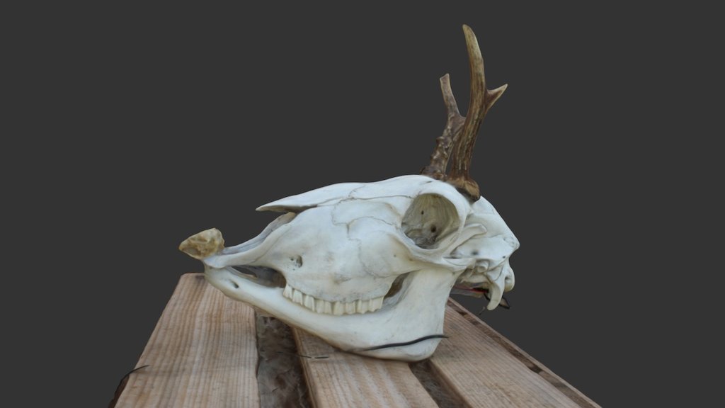 Créature valaisanne - 3D model by Arnold Christian (@abeyante) [c834fb2 ...