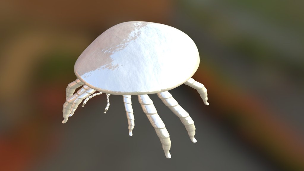 Male Varroa Mite 3D Printable - 3D model by Jonathan Wright (@Jonathan ...