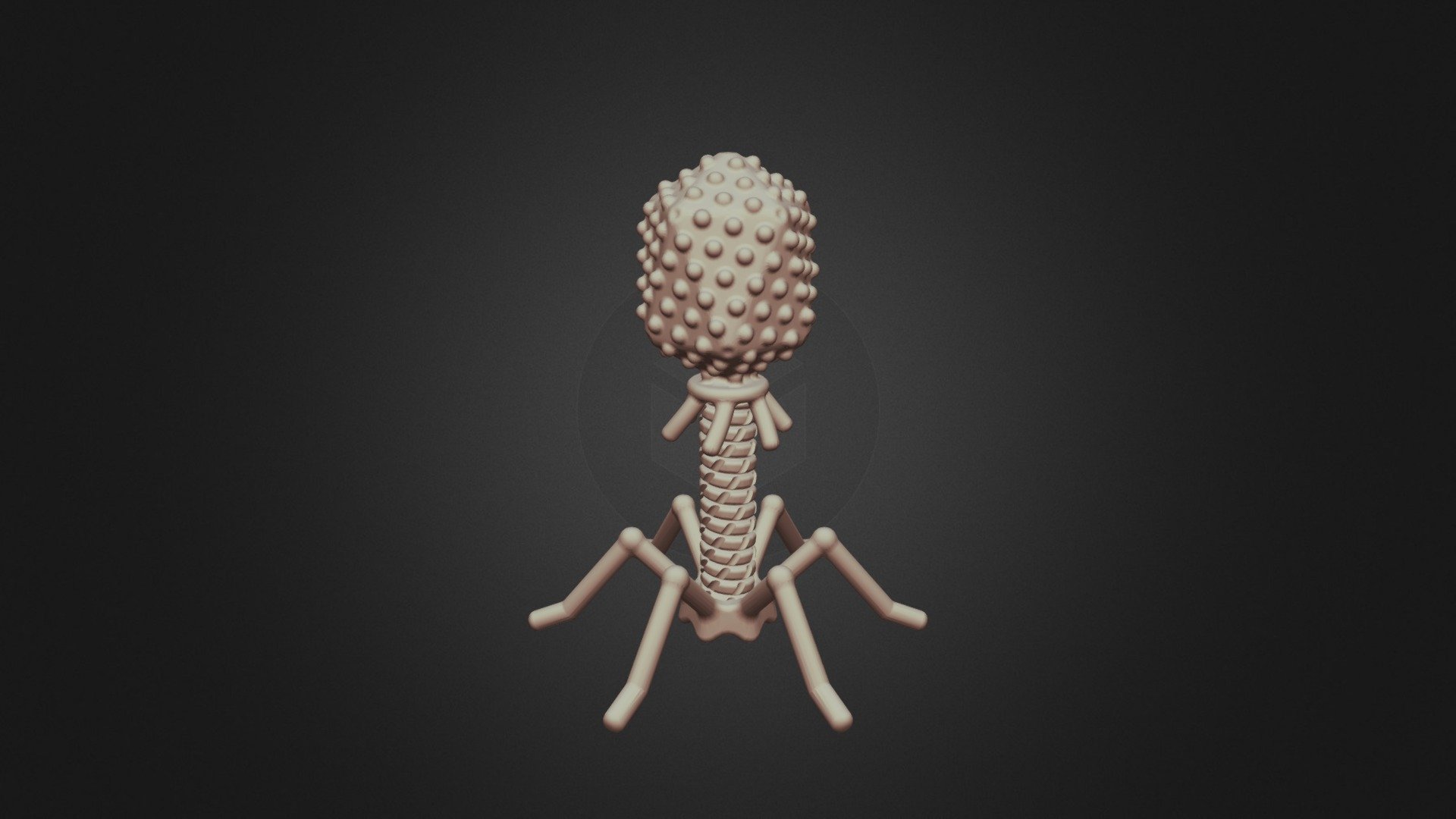T4 Bacteriophage Virus - 3D Printable - 3D model by taylorcustom ...