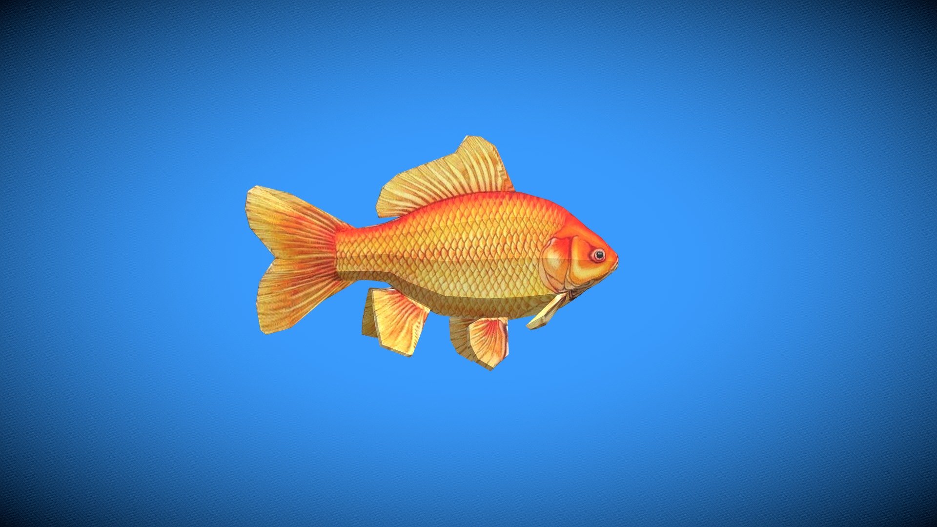 Goldfish - 3D model by isa3design [c8446c0] - Sketchfab
