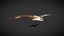 Osprey Flight Animation 1 - 3D model by Ryley Burnett (@ryleyburnett ...