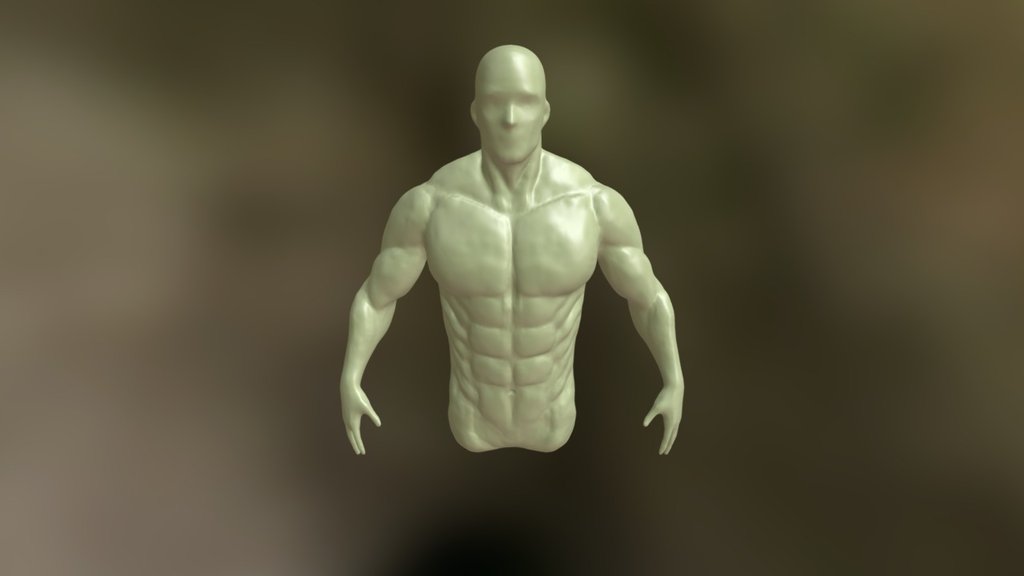 Male arms and torso 090416(2) - 3D model by whambulance [c859ac0 ...