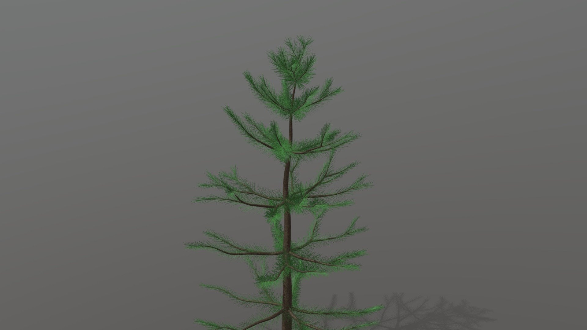 Pine Tree - Download Free 3D model by PolyCraftSutdios [c85a940 ...