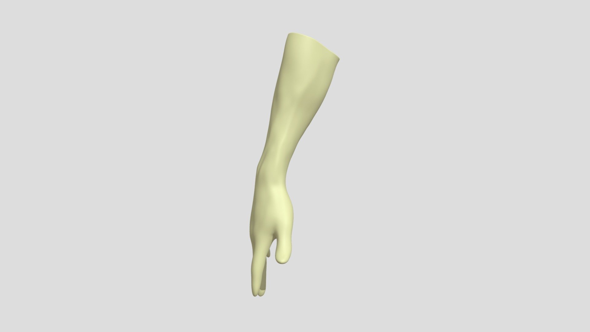 Avant-Bras Humain / Human Forearm - 3D model by timbonewlc [c85c4db ...