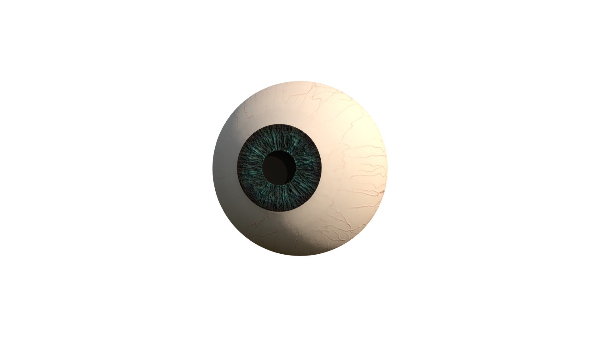 eye - 3D model by cantrast57 [c85ca29] - Sketchfab