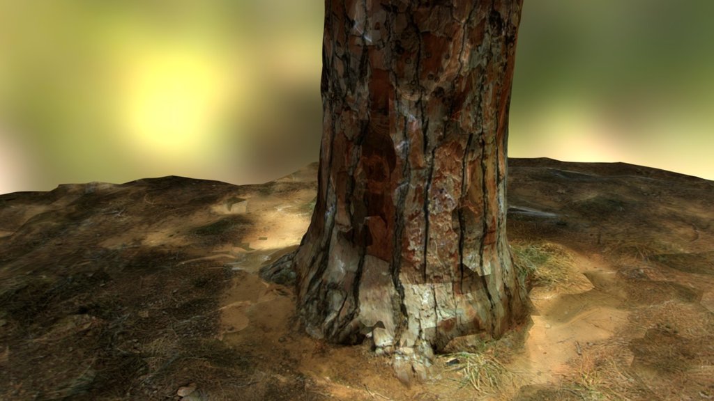 Log Tree Capture - 3D model by Free 3D Models (@free3dmodels) [c865832 ...