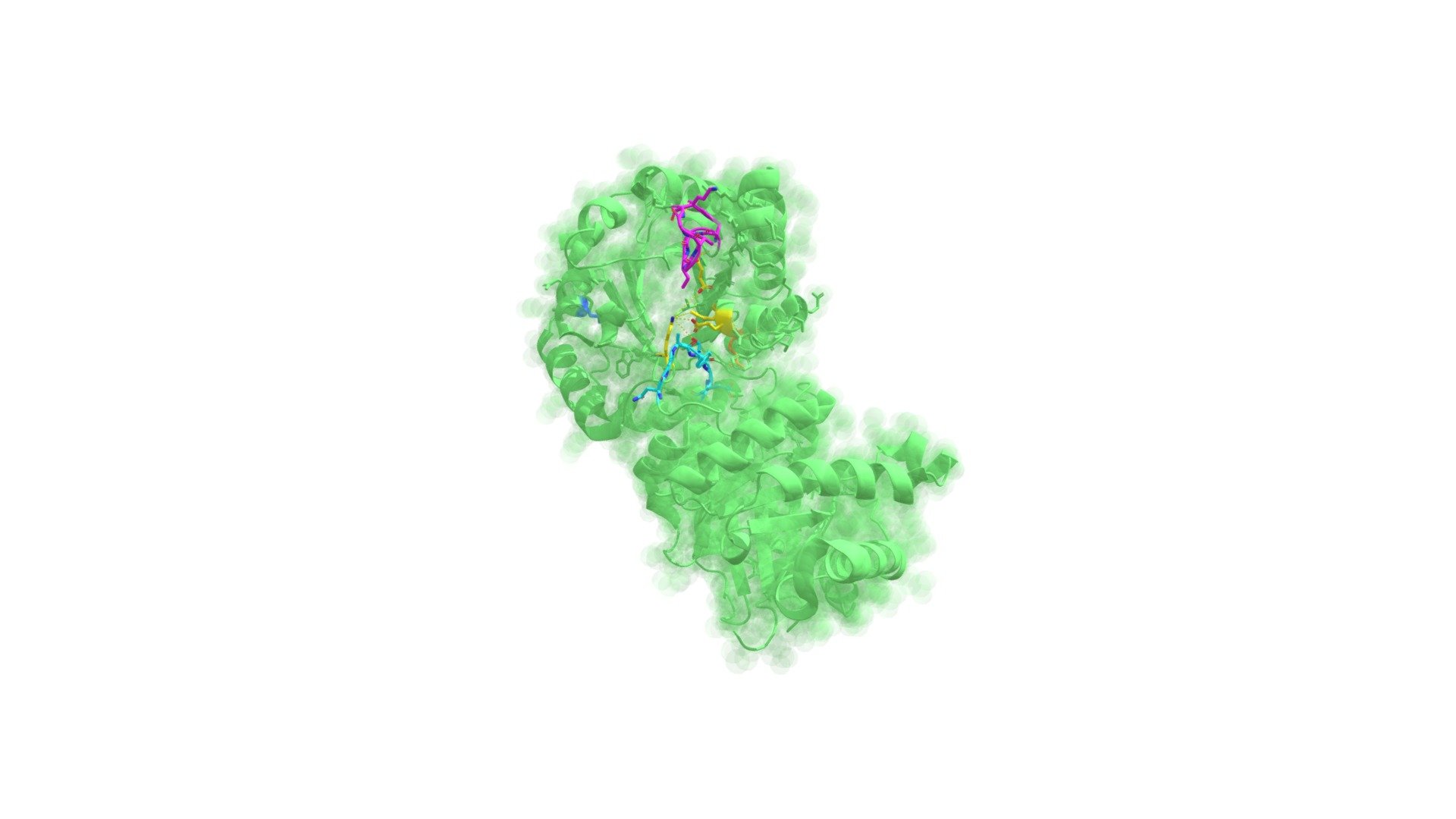 Molecular Model of Human TPI - Cara Schlebusch - Download Free 3D model ...