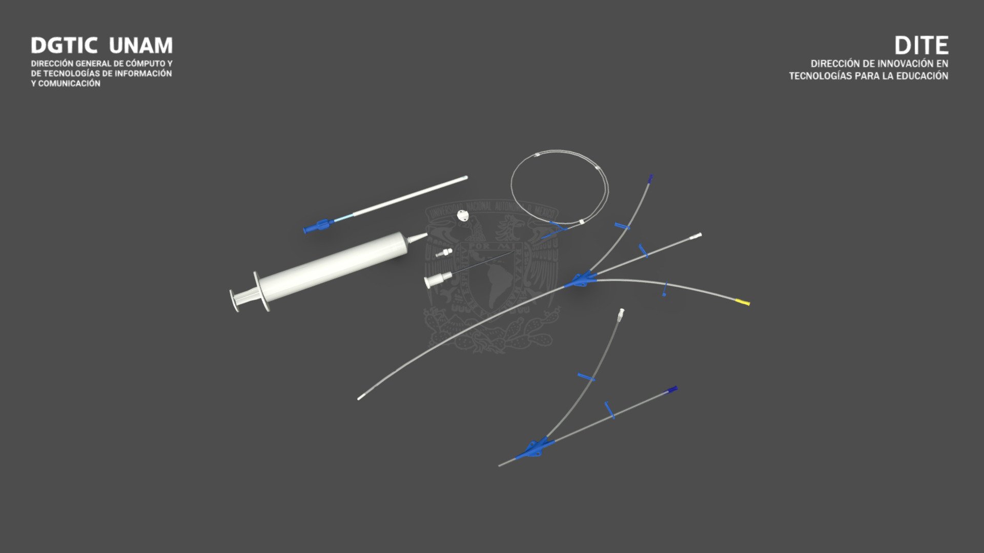 CT16 Catéter venoso central - 3D model by UNAM | DGTIC | DITE | DRDE ...