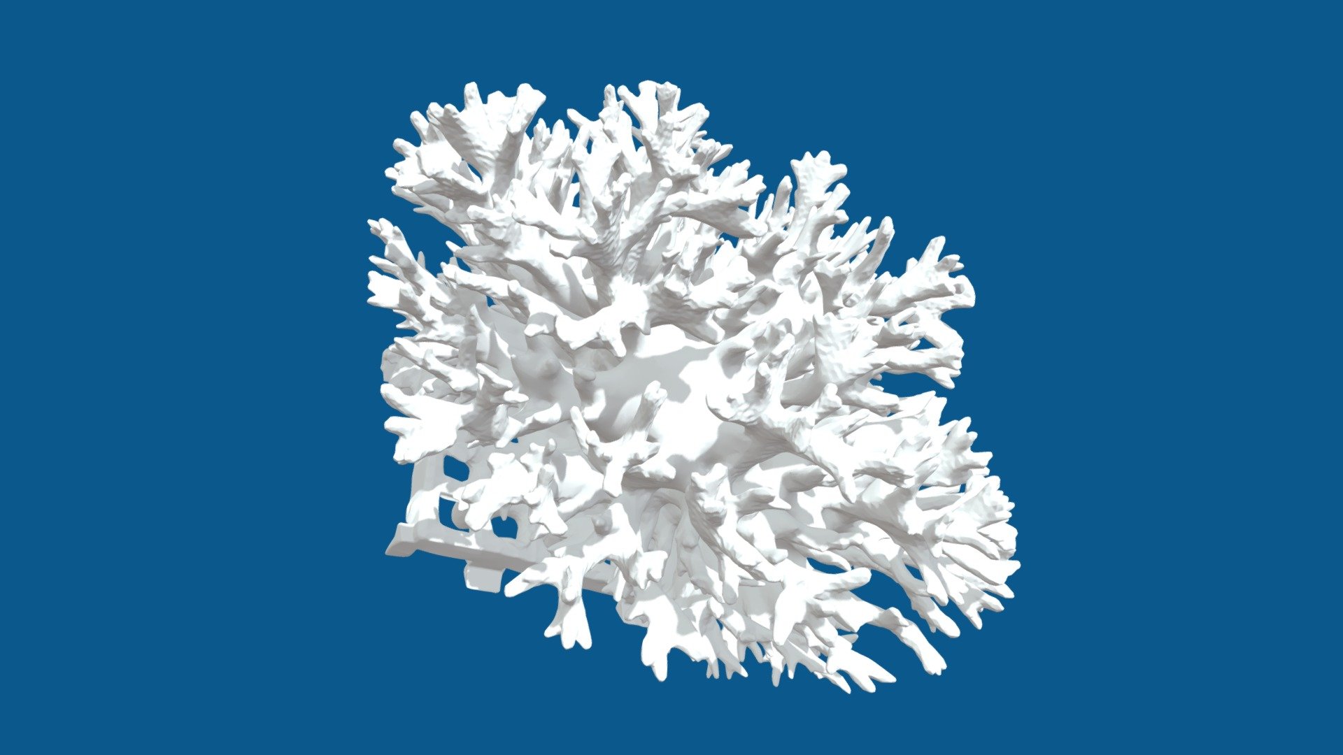 Poci_2 - Download Free 3D model by Kyle (@kmorgan) [c86d773] - Sketchfab