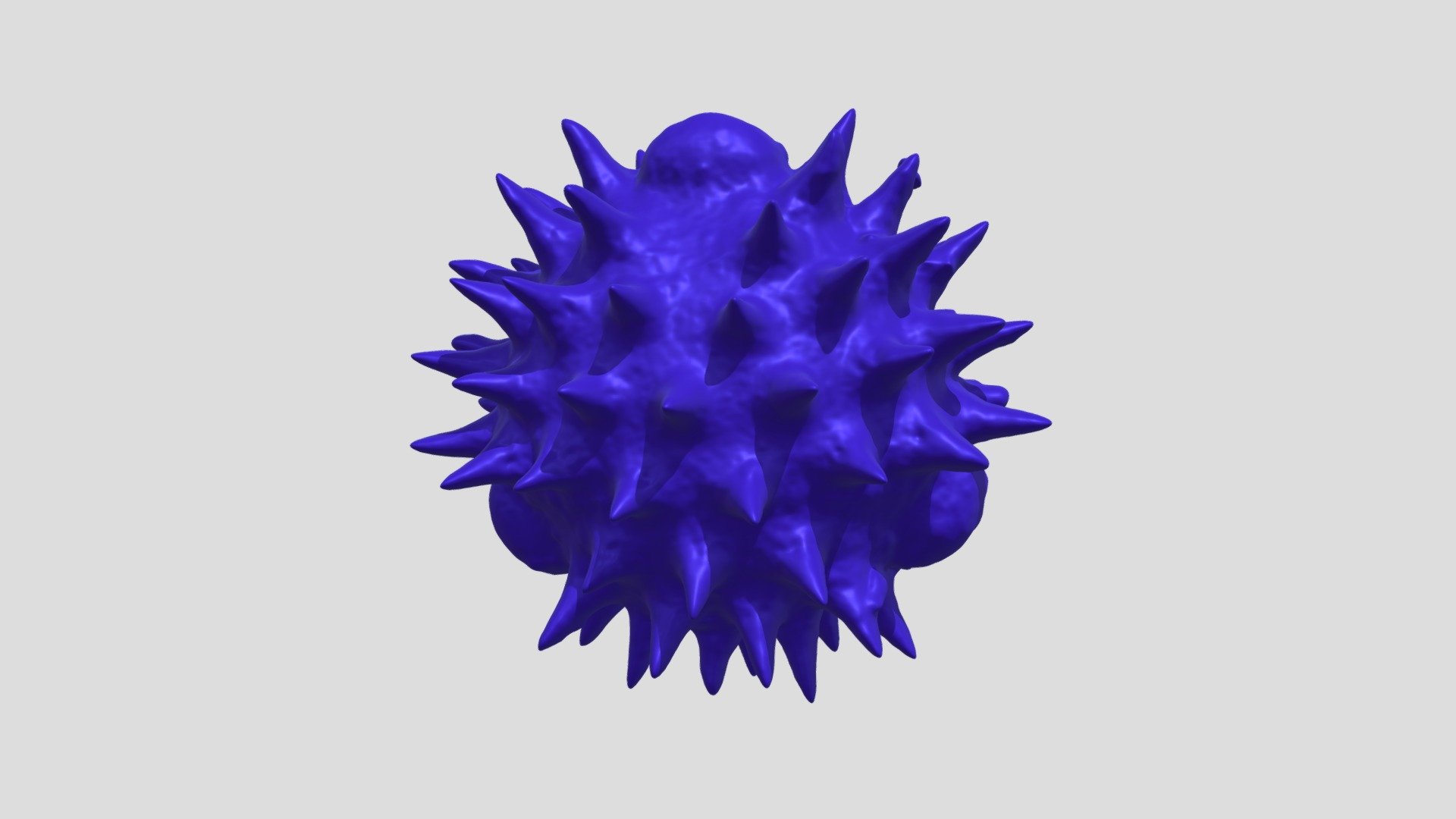 Sunflower (Helianthus annuus) pollen - 3D model by Cardiff University ...
