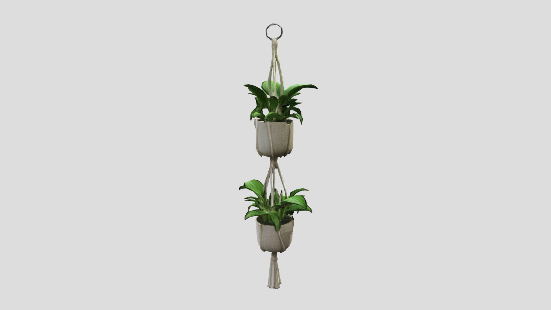 Hanging plant - 3D model by ChoiMarket [c873b62] - Sketchfab