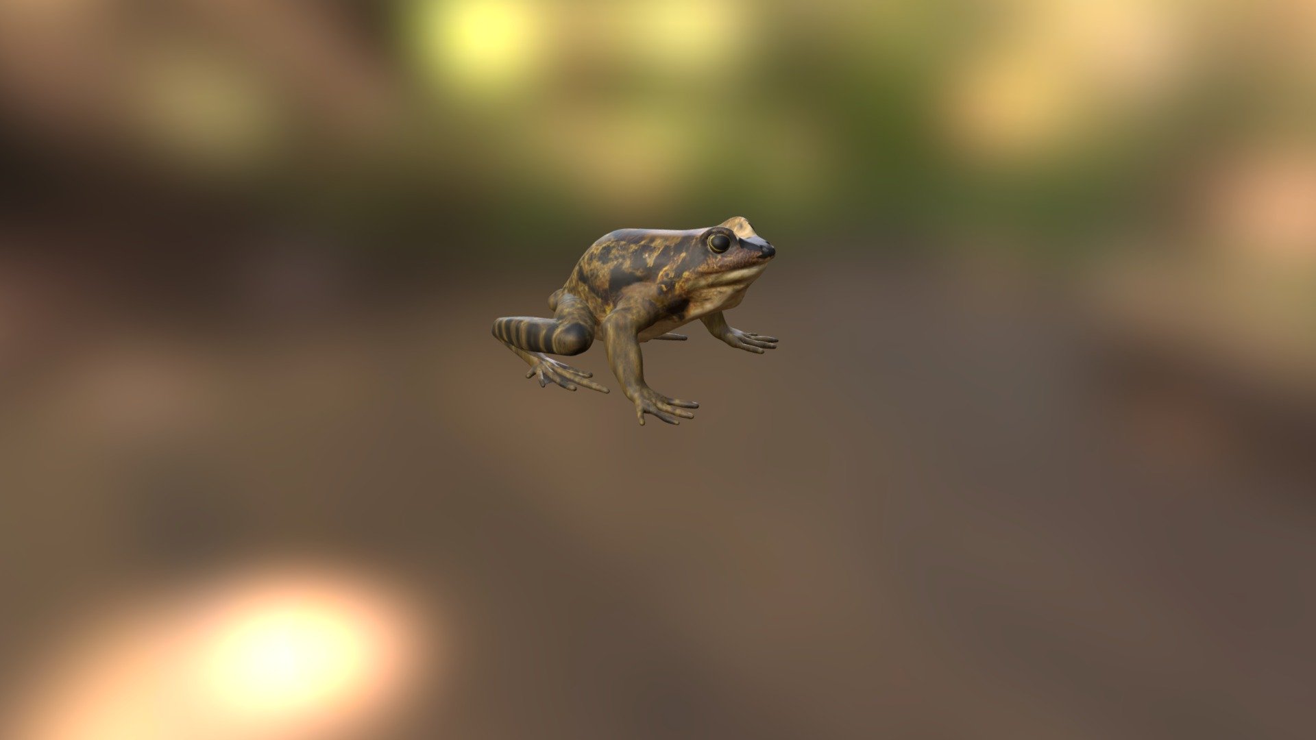 Toad - 3D model by Vahe Simonyan (@vardges) [c877ddc] - Sketchfab