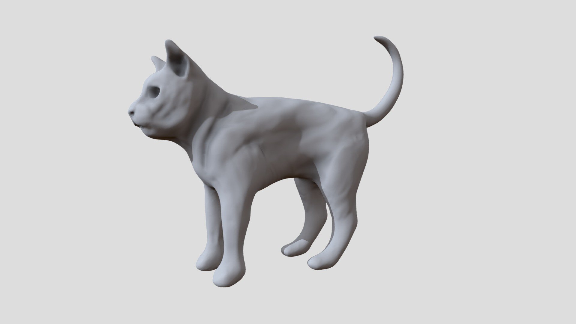 Cat Practice Sculpt - Download Free 3D model by BrageU (@besdue ...