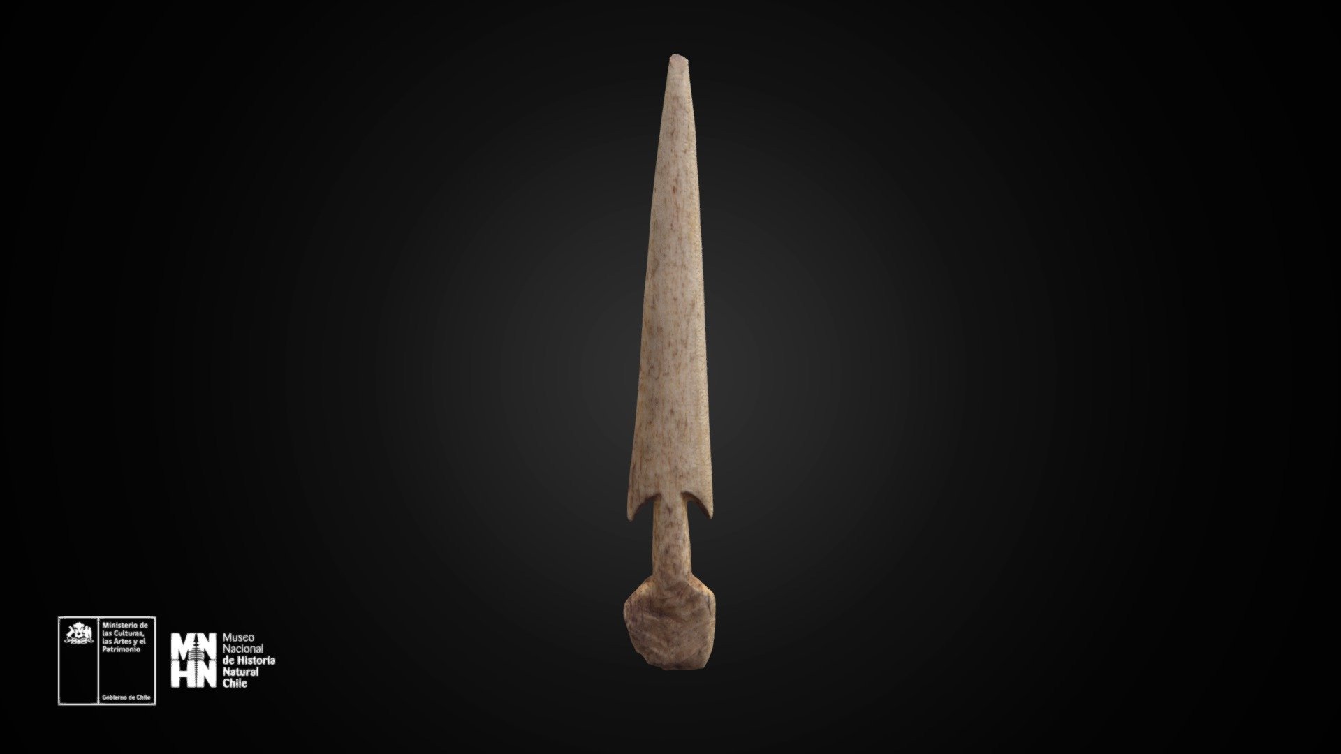 Punta de arpón de hueso - Download Free 3D model by Museo Nacional de ...