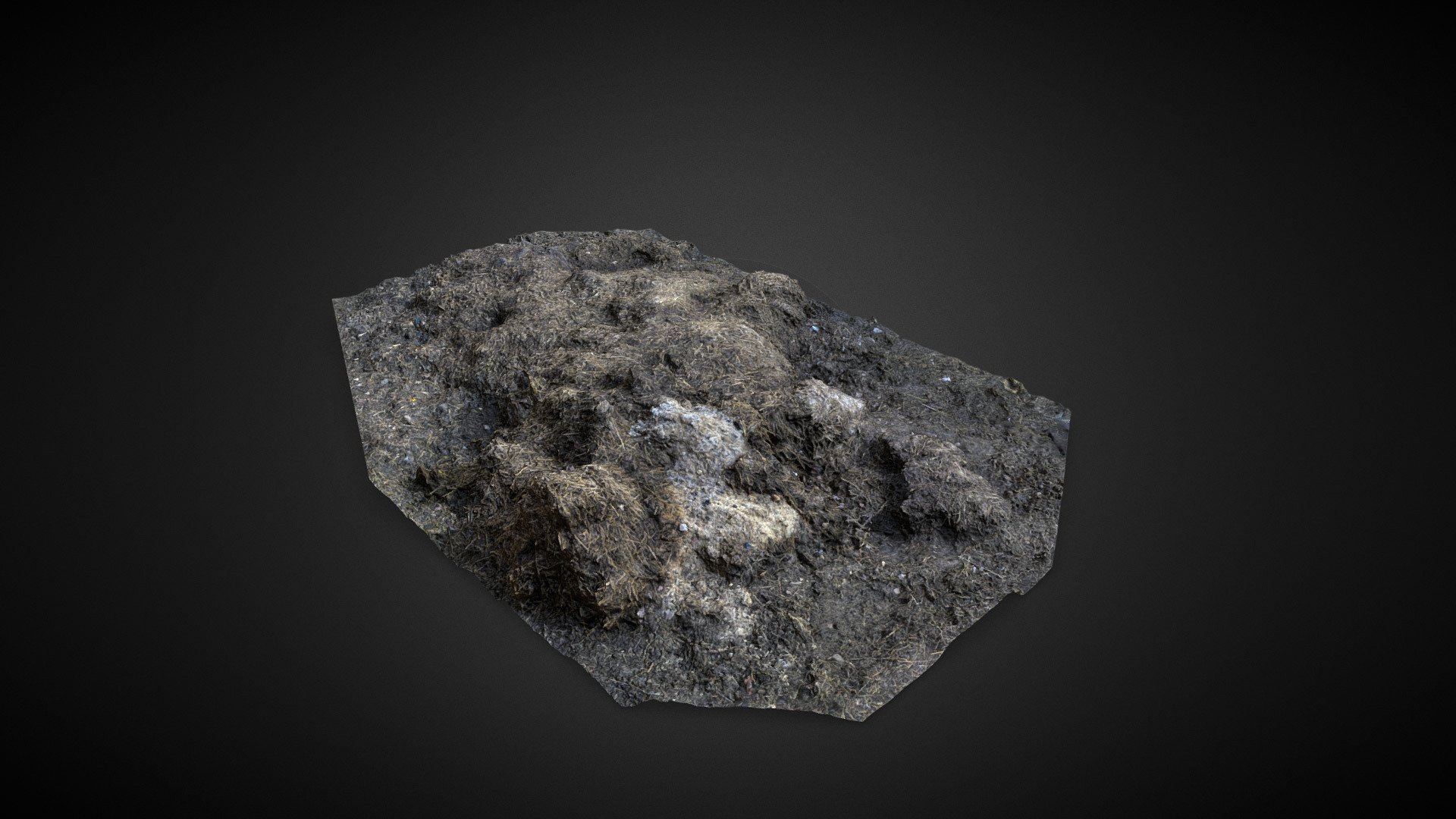 Manure pile - HighPoly, Scan - Download Free 3D model by HeviArts ...