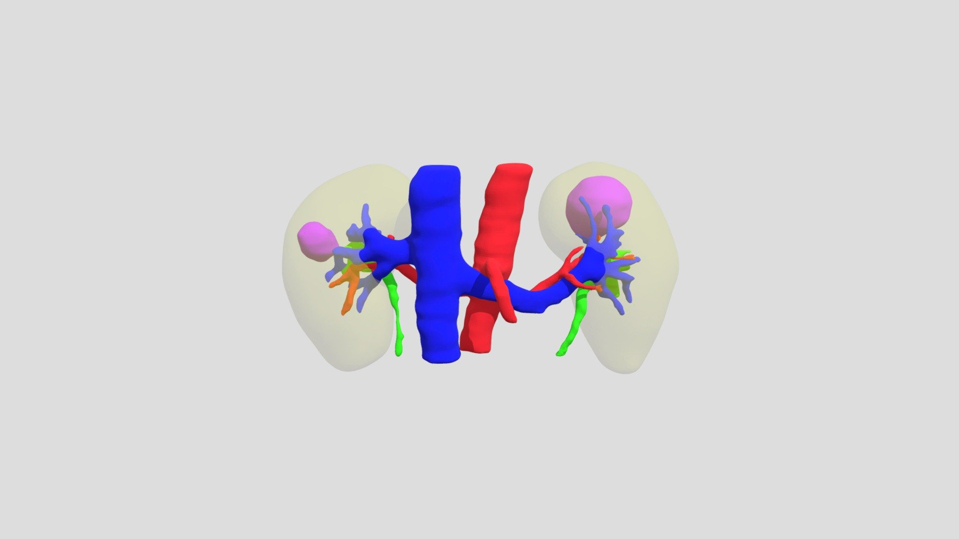 20211608_Hiro - Download Free 3D model by augenmed [c89388b] - Sketchfab