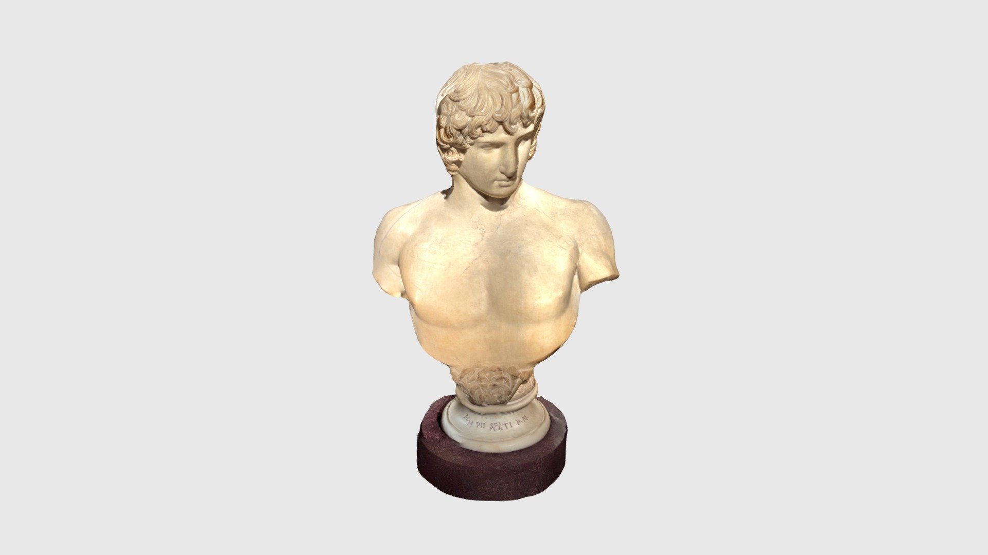 Vatican Museum - Adonis - Download Free 3D model by Crazymaverickdc ...