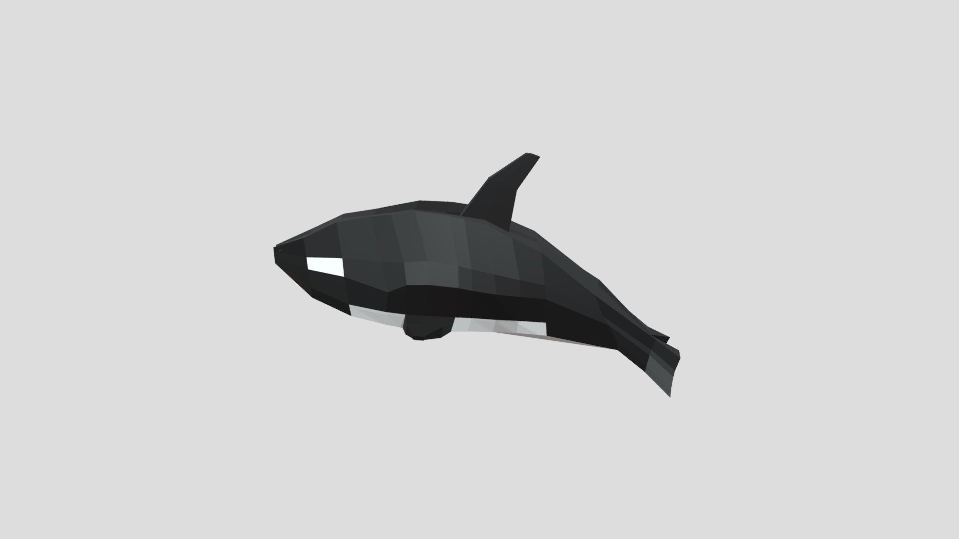 ORCA 3D - Download Free 3D model by sedas (@dangomacea) [c8b9450 ...