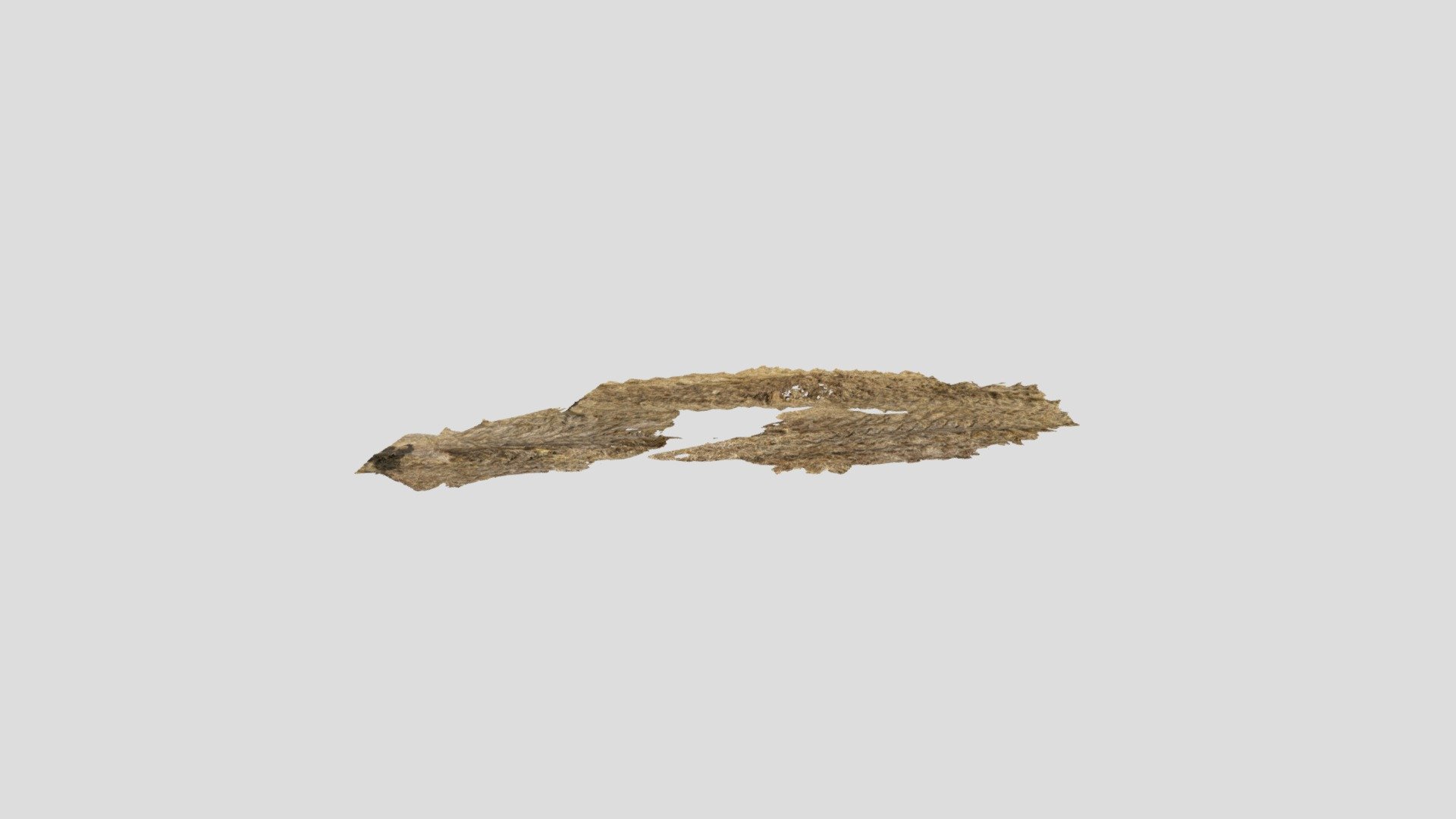 stroh-skin-2 - Download Free 3D model by katrin.hornek1 [c8bf585 ...