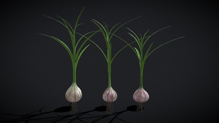 Crops 3D models - Sketchfab