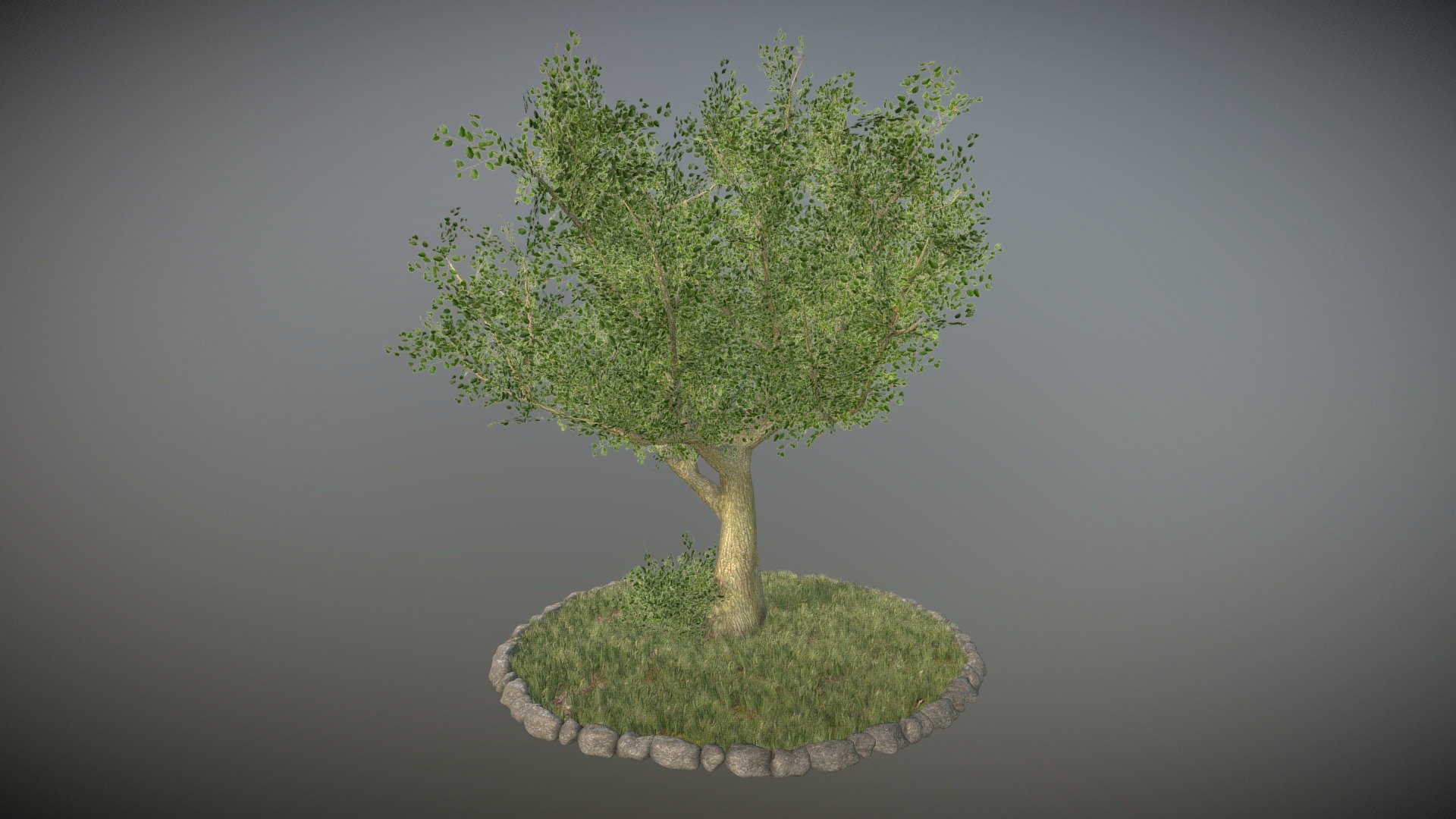 Simple tree - Download Free 3D model by branimir2412 [c8c4828] - Sketchfab