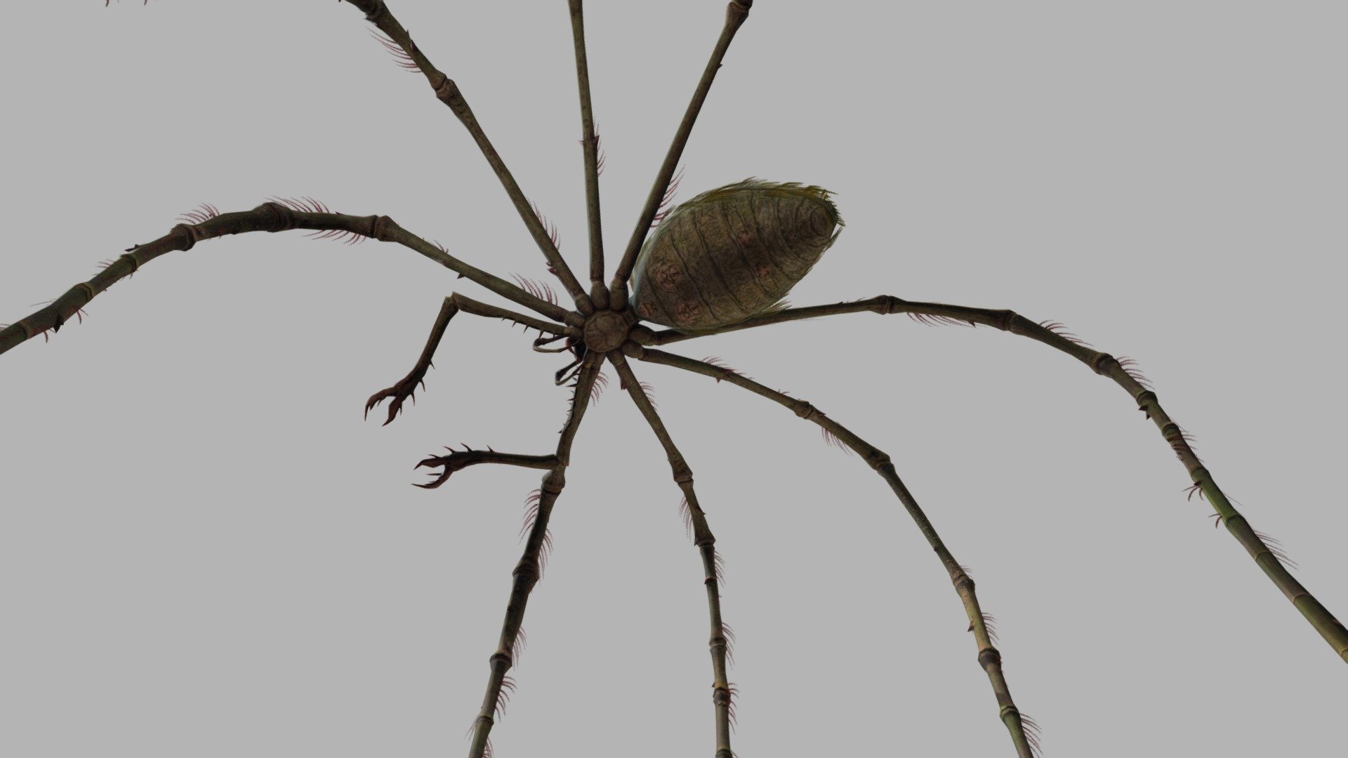 Mother LongLegs - Download Free 3D model by KaijuGuy (@NecoNeco16 ...