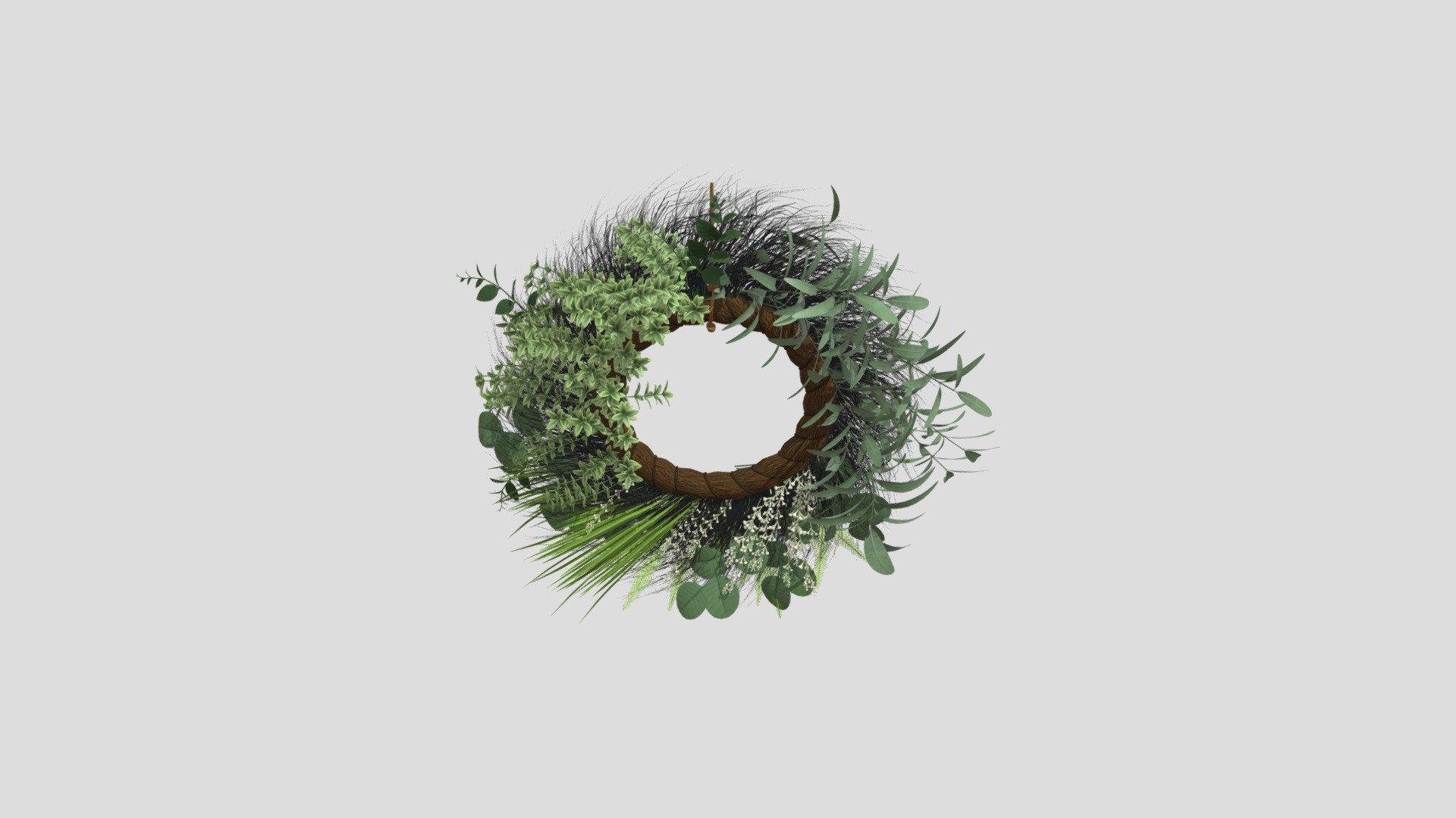 Coronal - 3D model by 9Bros.io [c8d1ee5] - Sketchfab